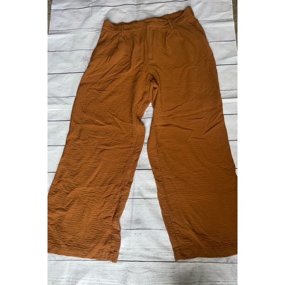 a new day | Pants & Jumpsuits | A New Day Rustcolored Pleated Wide Leg ...